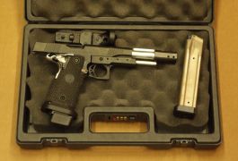 amadini custom t-rex hybrid competition