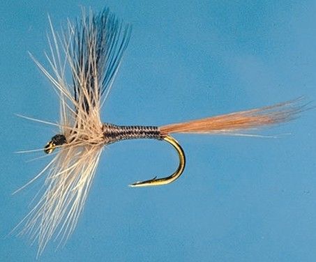 DEVAUX 928 - A14 buellistore